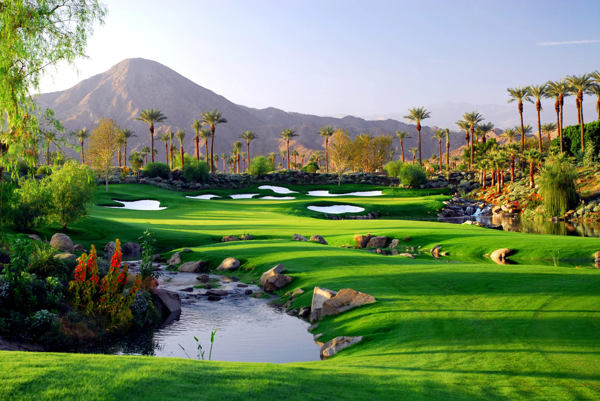 Upcoming Tournaments - ASGA